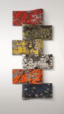 Lichen | Carpet Tile Collection | Mohawk Group