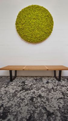 Lichen | Carpet Tile Collection | Mohawk Group
