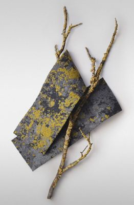 Lichen | Carpet Tile Collection | Mohawk Group