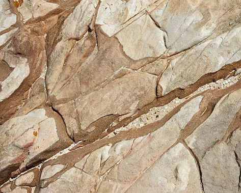 Iconic Earth | Carpet Tile Collection | Mohawk Group